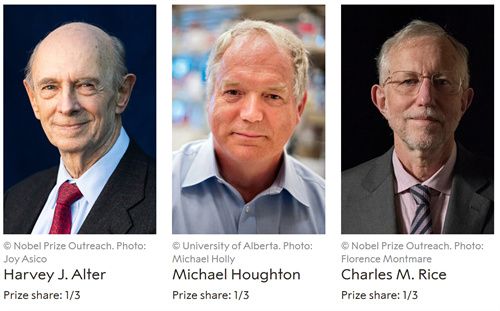 那些与疾病抗争的故事，2022年诺贝尔生理学或医学奖揭晓倒计时 - 动态 - 新湖南