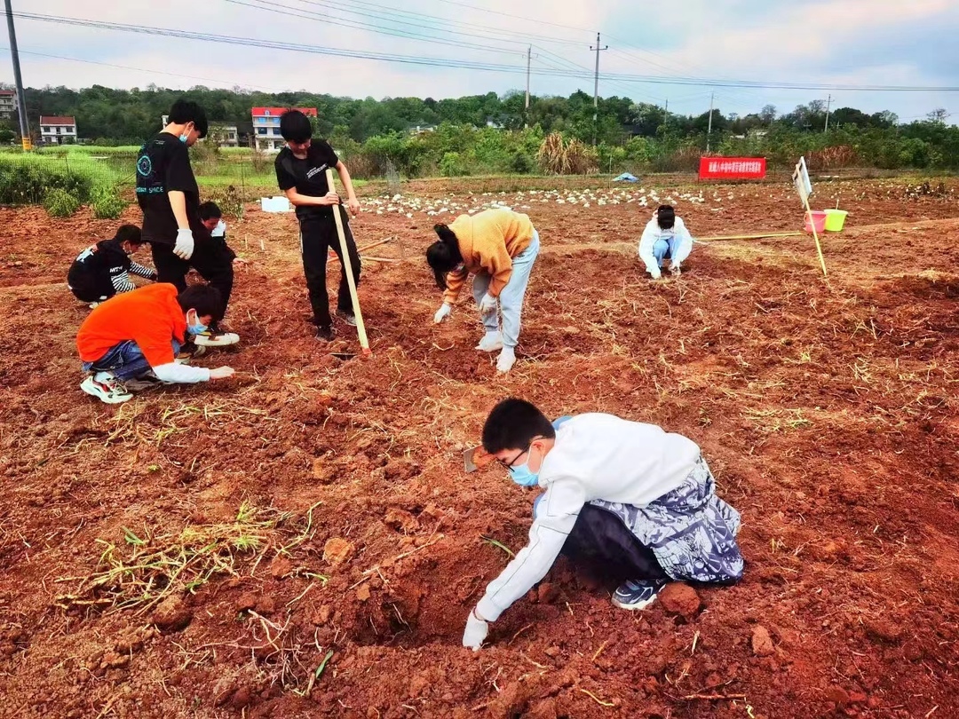 双峰八中将田野变成“大讲堂” - 走读湖湘 - 新湖南