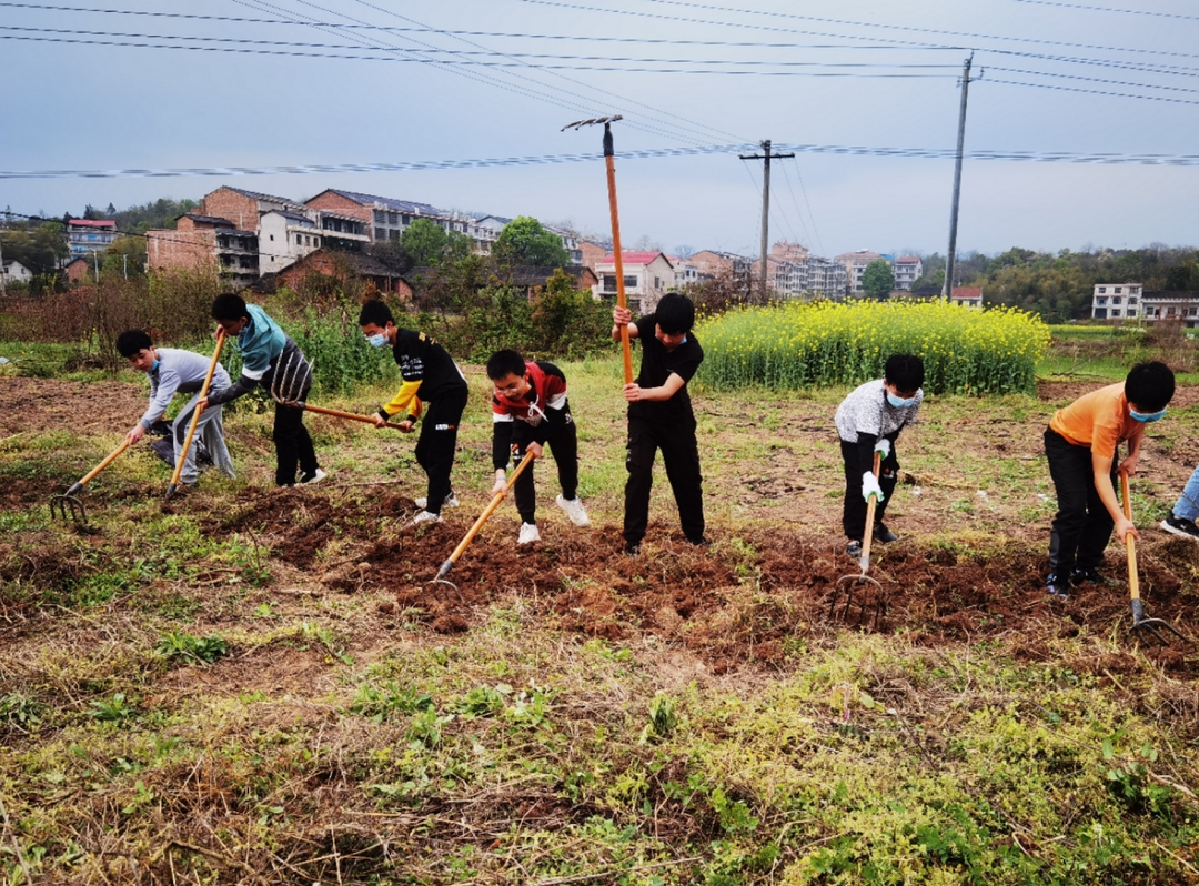 双峰八中将田野变成“大讲堂” - 走读湖湘 - 新湖南
