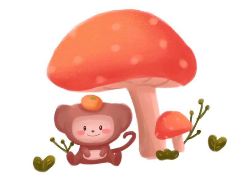 野生蘑菇中毒高发季 勿采勿食要牢记→ - 世相 - 新湖南