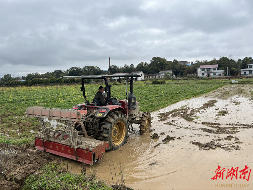 Villagers Busy with Spring Farming in Liuyang - Hunan News - 新湖南