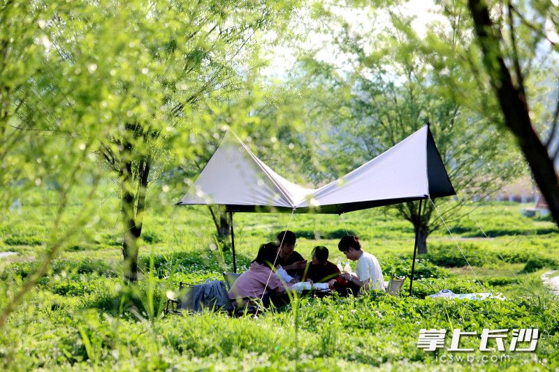 20-minute park effect popular in Changsha - top news - 新湖南