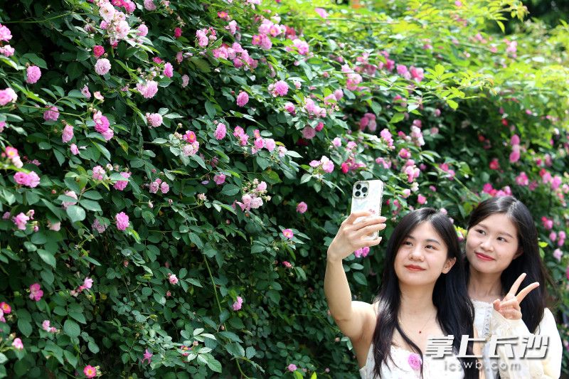 20-minute park effect popular in Changsha - top news - 新湖南